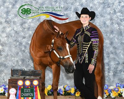 15 county 4-Hers place at horse show | News | indianagazette.com