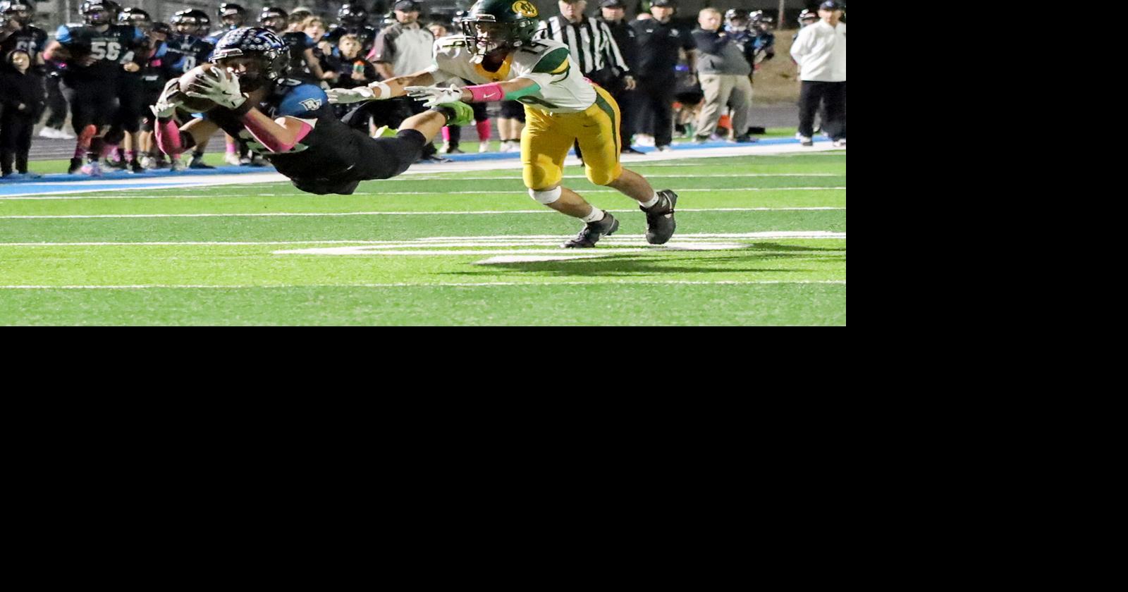 DIVING CATCH | Sports | indianagazette.com