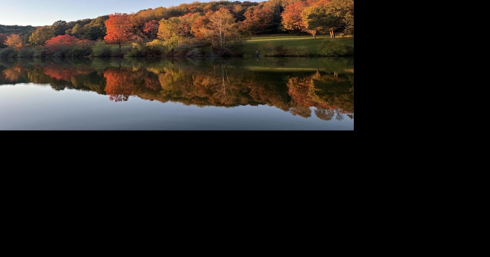 Where is Pennsylvania's top fall foliage? Map shows peak counties for ...