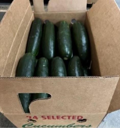 Pennsylvania action triggers regional cucumber recall | News | indianagazette.com