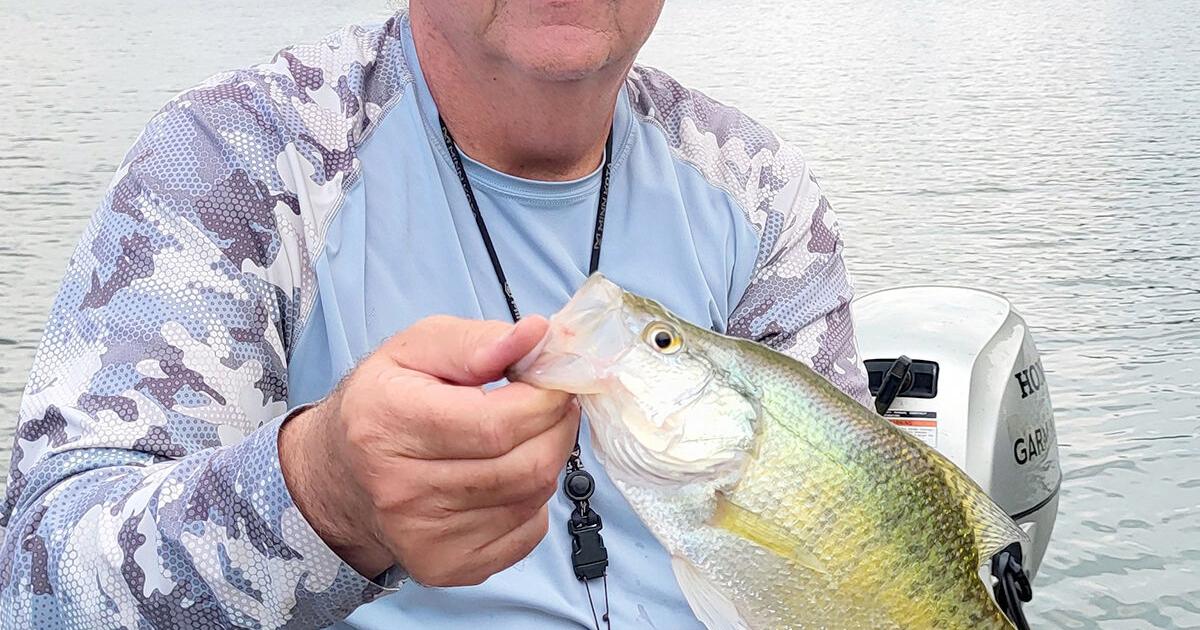 JEFF KNAPP: Finding crappies at the edge of the thermocline | Sports ...