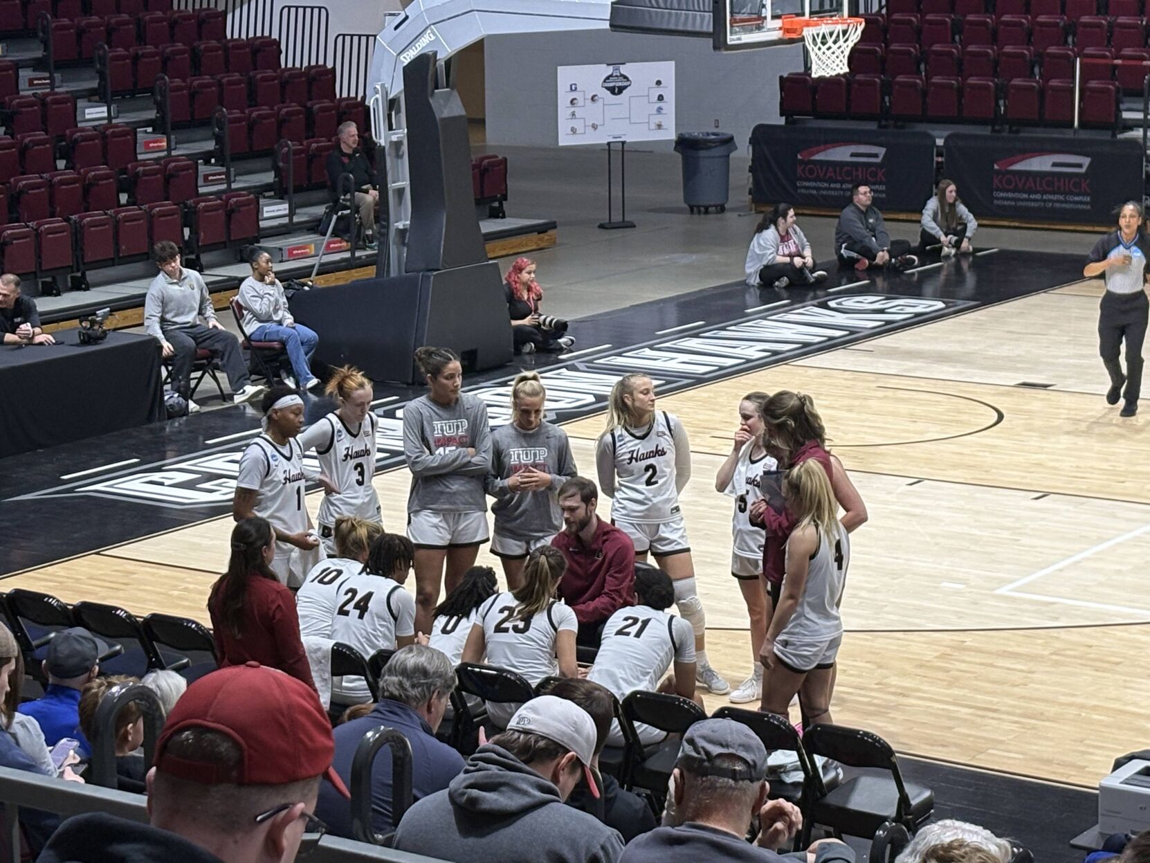 IUP women’s basketball teams advances In Division II Tournament ...