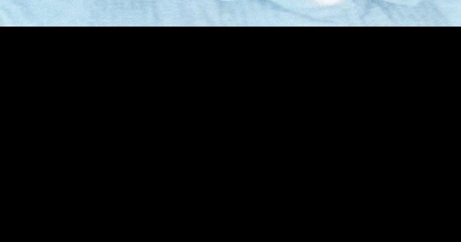 Donna Lee Anderson | Obituaries | indianagazette.com