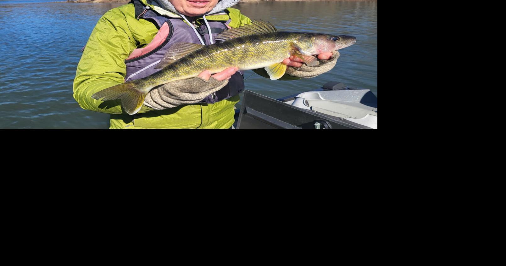 Classic jig-n-minnow combination lures walleyes | Indiana County Sports ...