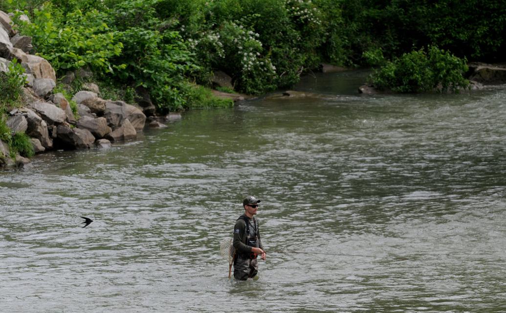 Gazette Photos: Fisherman takes a "wade and see" approach | News ...