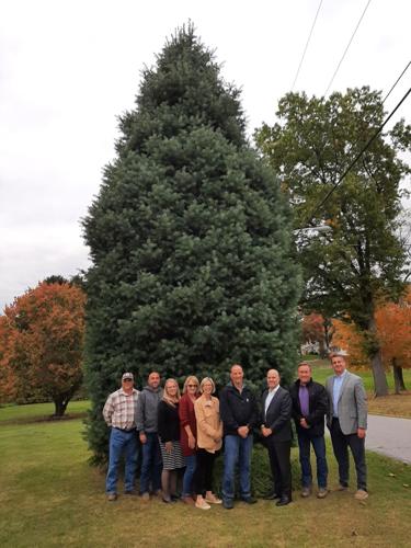 ICTB selects tree for 'A Wonderful Life' festival in IRMC Park | News ...