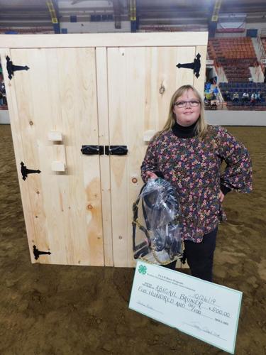 4-H member wins equine award | Community | indianagazette.com