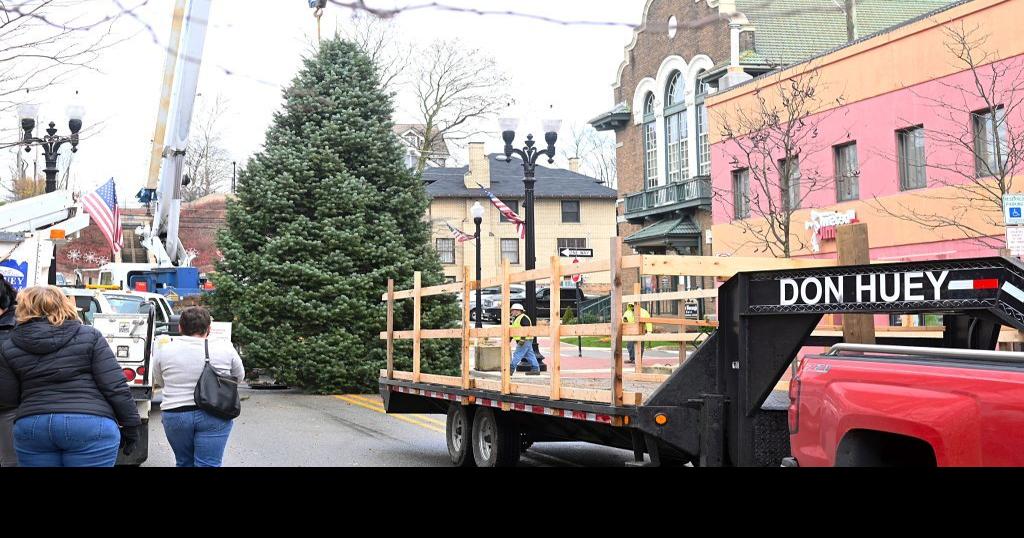 Indiana's Christmas tree erected in IRMC Park | News | indianagazette.com