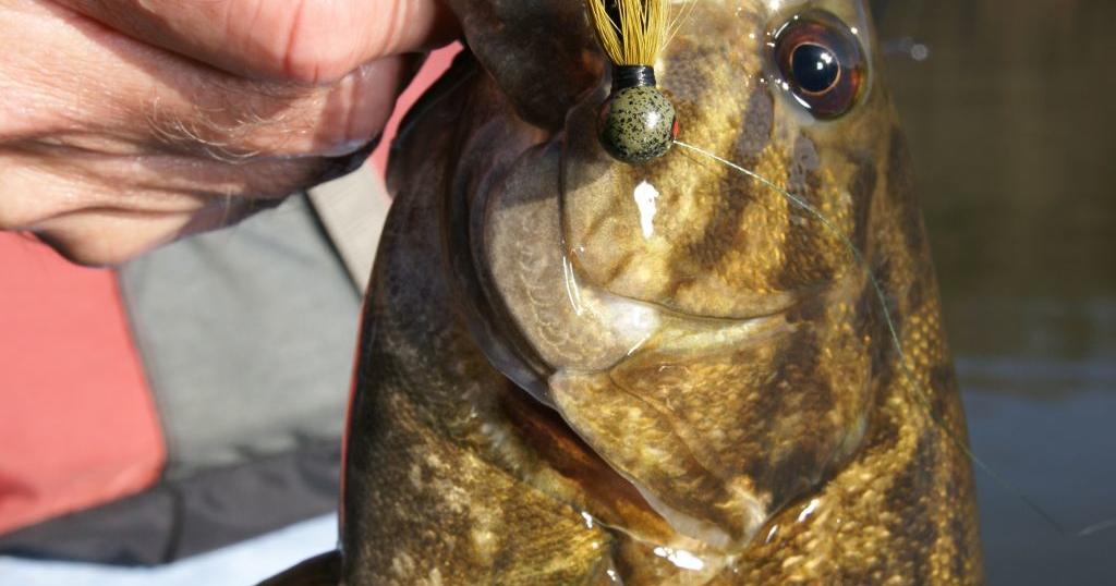 Meandering Mahoning offers varied, high-quality fishing | Sports ...