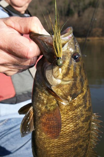 Meandering Mahoning offers varied, high-quality fishing | Sports ...