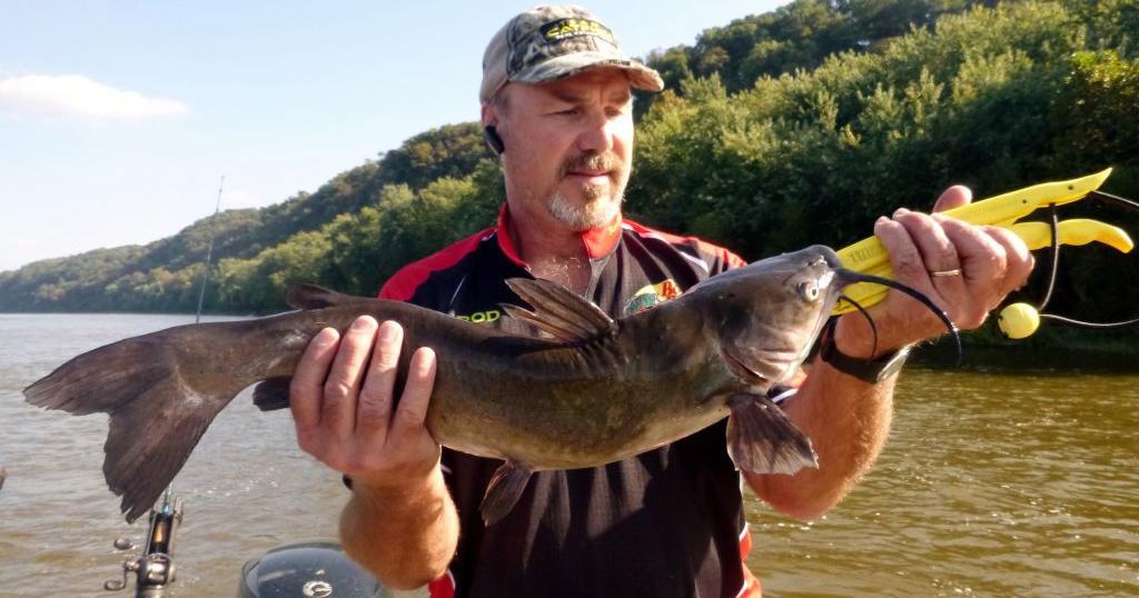 Mahoning Creek Lake offers diverse fishery | Sports | indianagazette.com