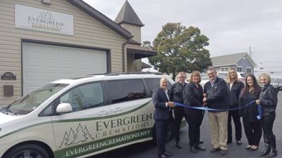 david taylor tree service