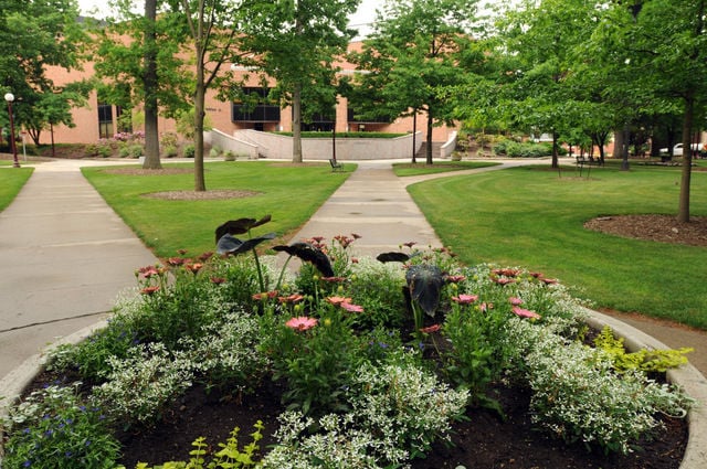 IUP faculty, staff receive University Senate awards | News ...