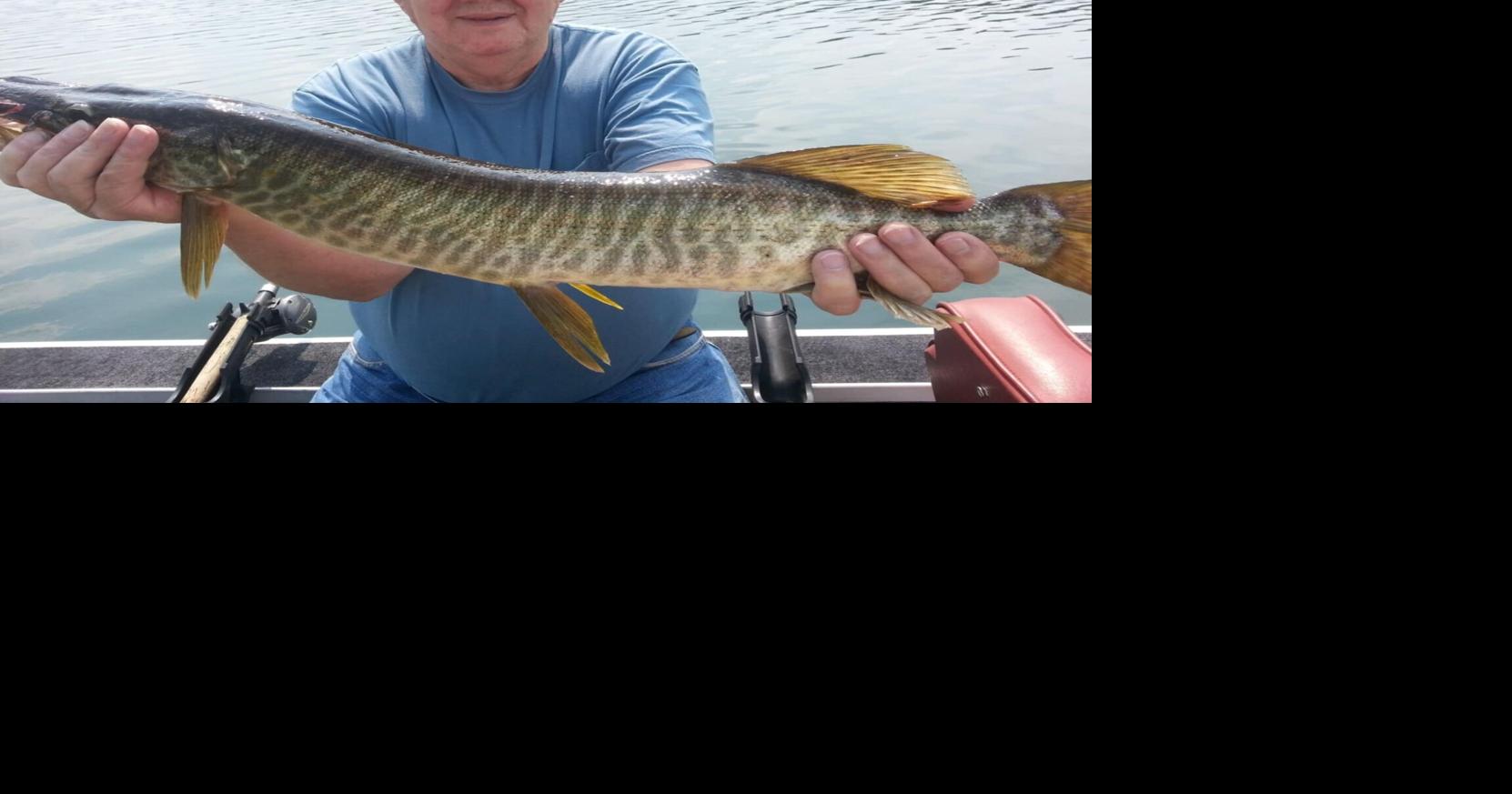 Kenneth H. Shields | Obituaries | indianagazette.com