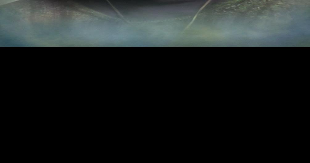 Patricia F. Craig | Obituaries | indianagazette.com