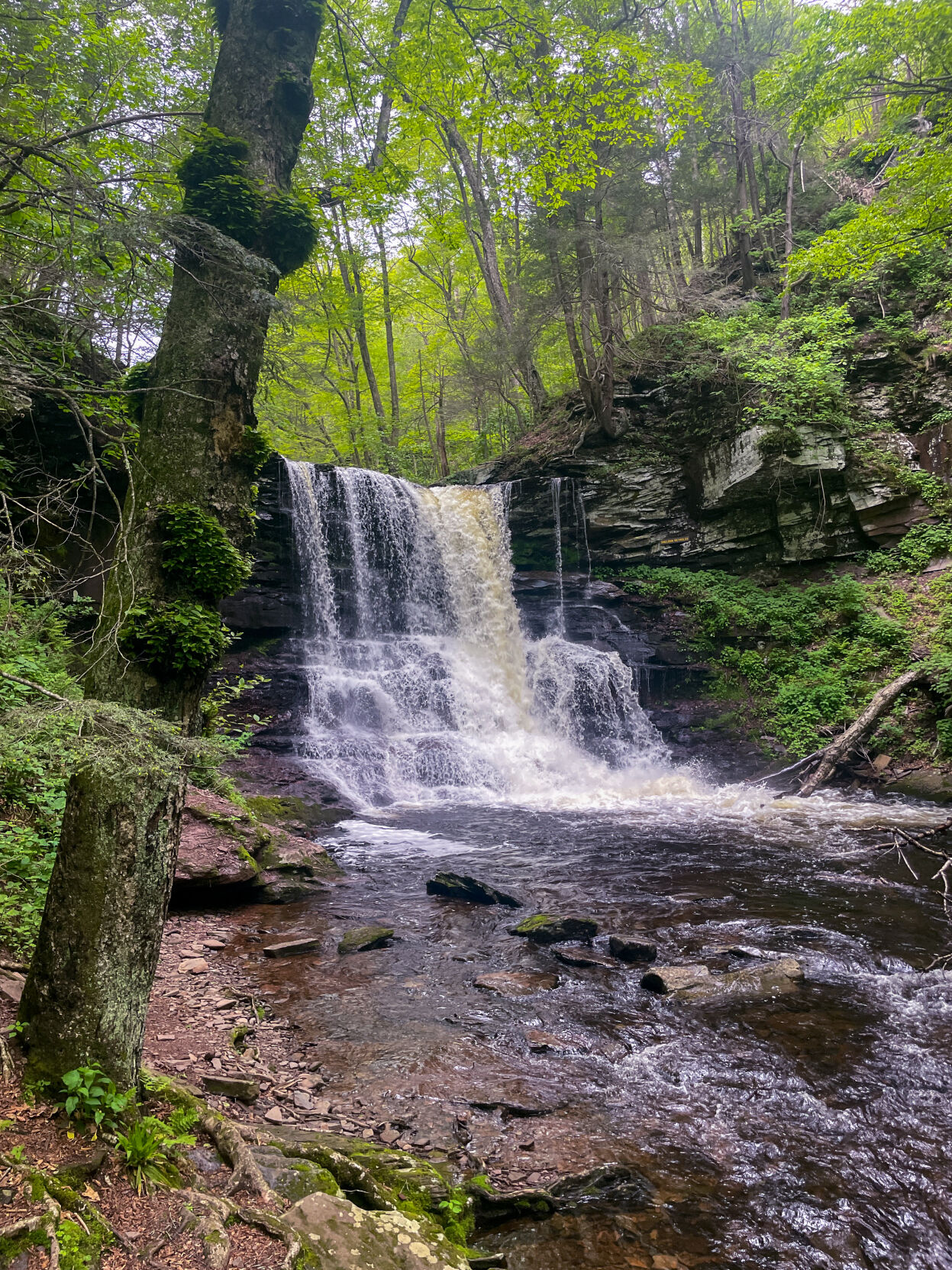 Ricketts Glen State Park invites hikers to explore 'wild' falls ...