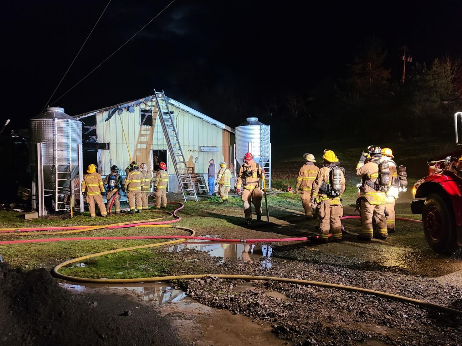 Pigs unscathed in barn fire | News | indianagazette.com