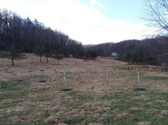 Conservation District Week underway | News | indianagazette.com