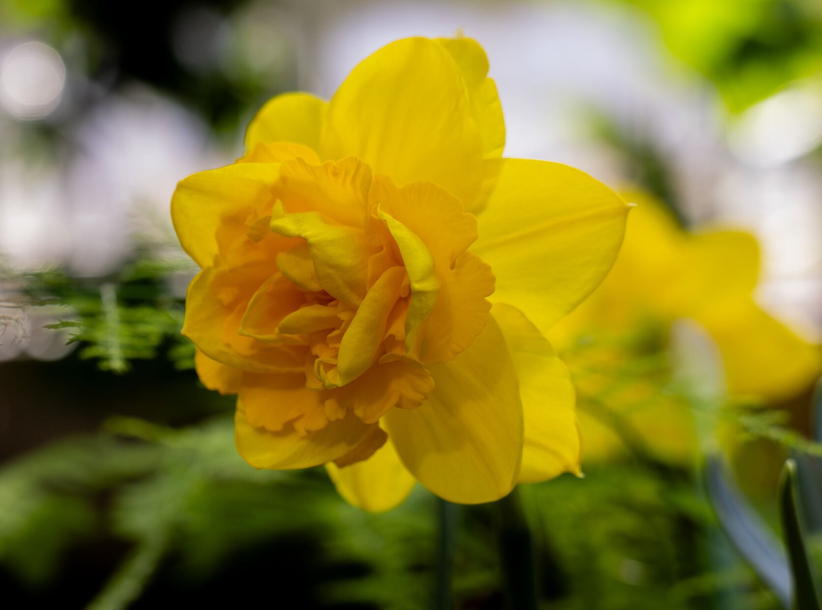 Obituaries | indianagazette.com