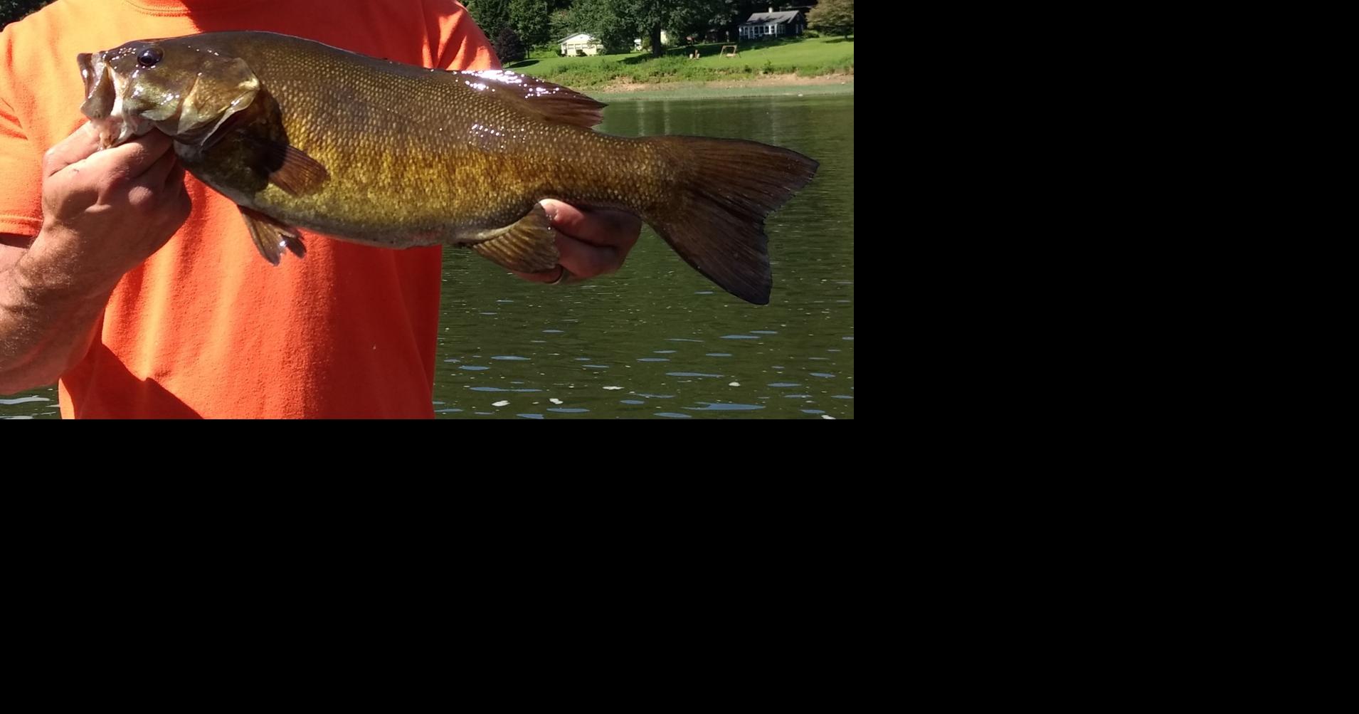 Jeff Knapp: Raystown Lake has it all covered | Sports | indianagazette.com