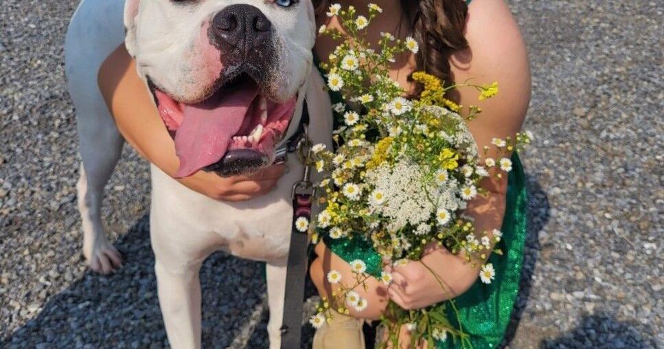 Alice Farabaugh - Teen of the Week brought to you by Rosebud Mining ...