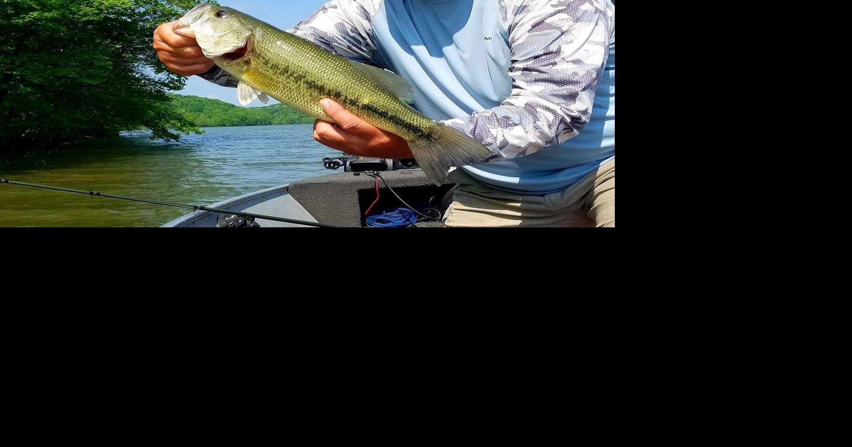 JEFF KNAPP: Crankbait strategy: Fishing from deep to shallow for summer ...