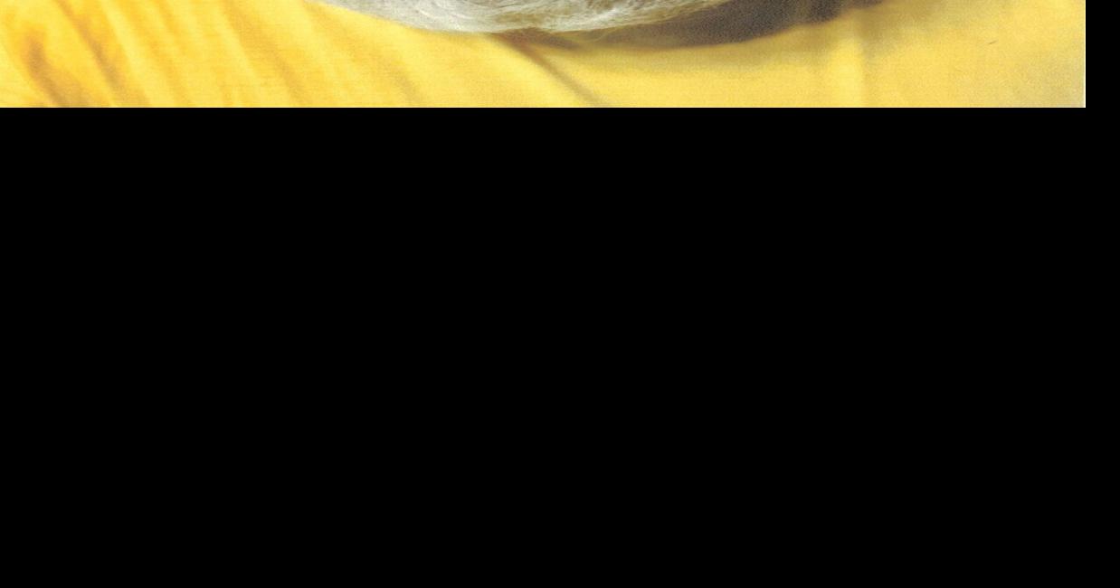 Robert 'Butch' Eugene Conrad | Obituaries | indianagazette.com