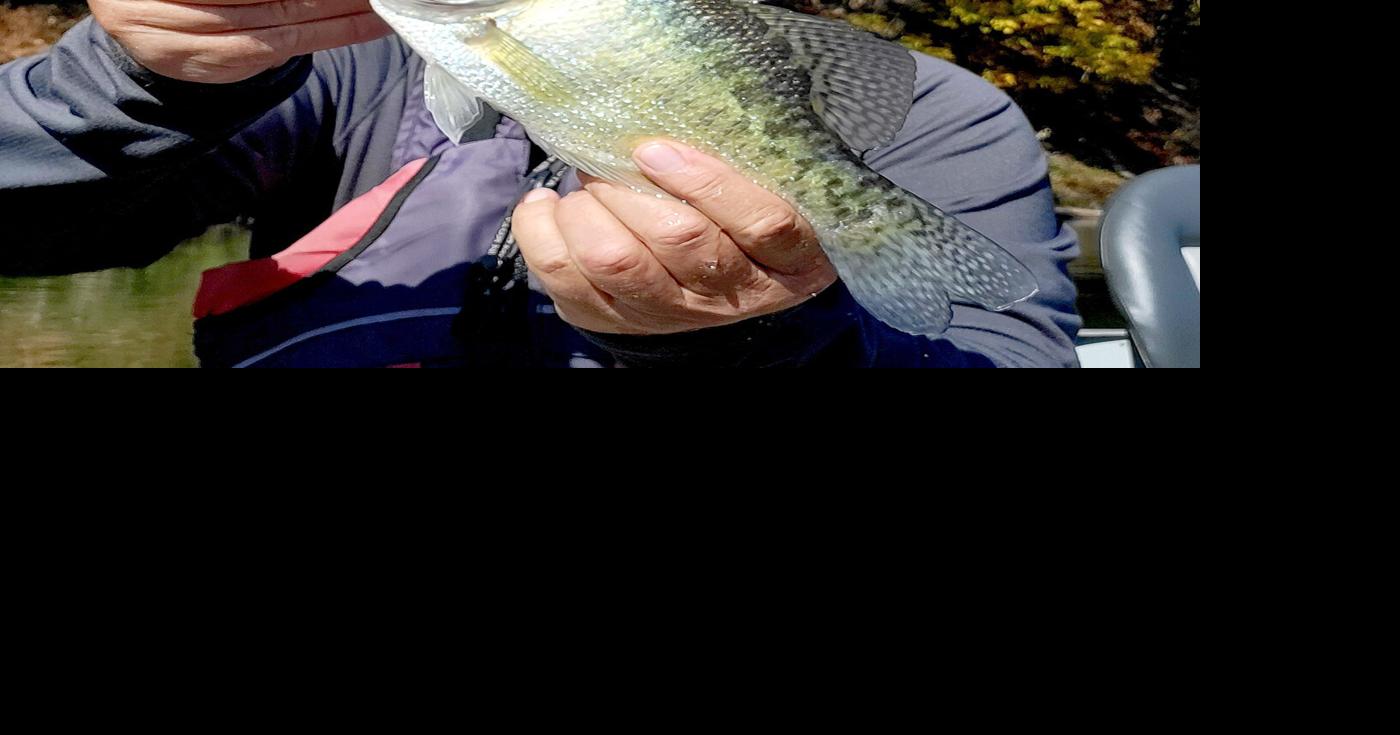 JEFF KNAPP: Slip bobbers help present bait to fish | Sports ...