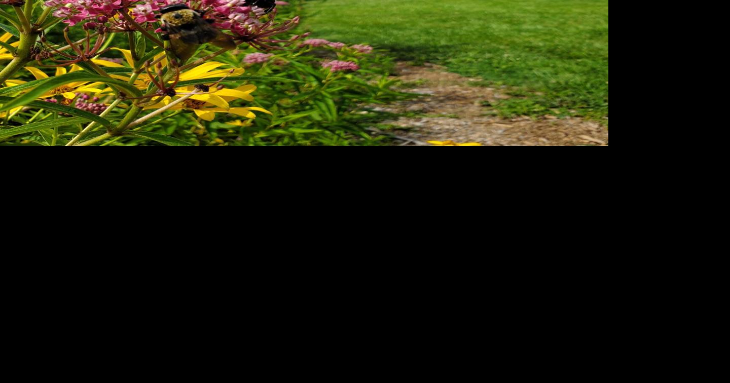 Indiana Community Garden to host 'Garden of Ideas' at second Summer ...