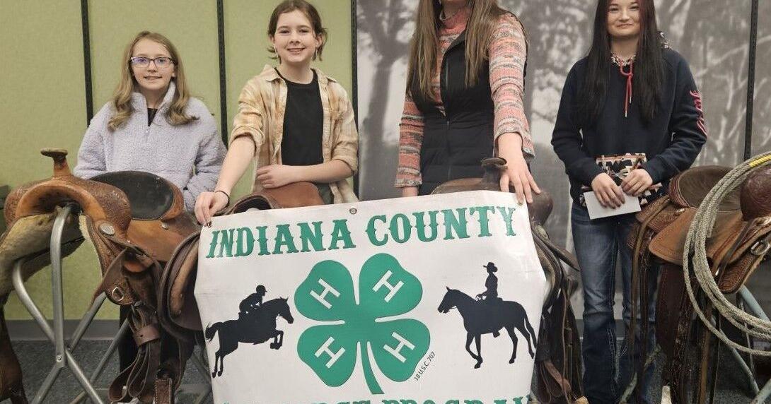 4-H members compete in hippology contest | News | indianagazette.com