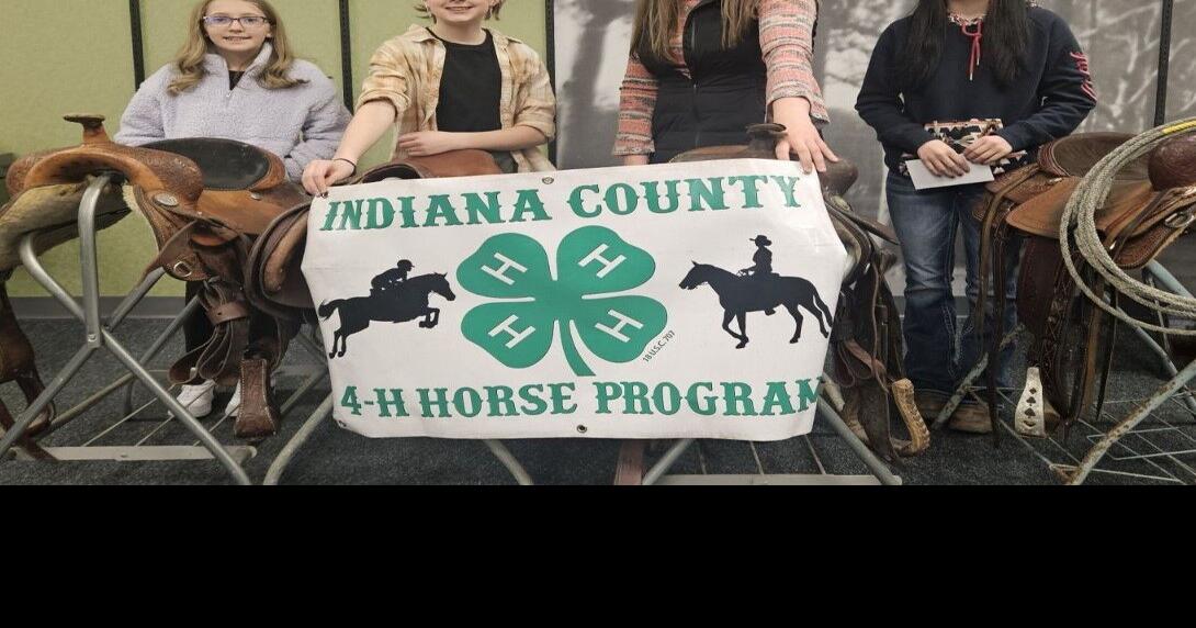 4-H members compete in hippology contest | News | indianagazette.com