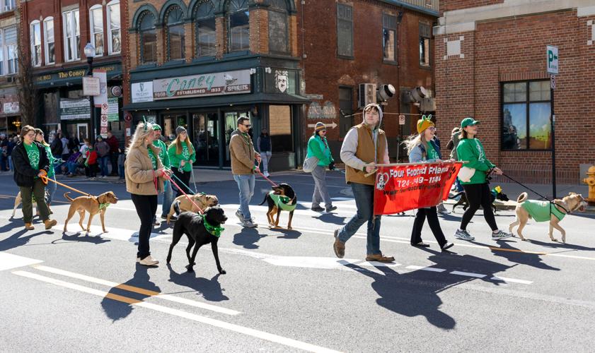 Indiana shows off 'shamrock spirit' at Downtown Indiana St. Patrick's ...