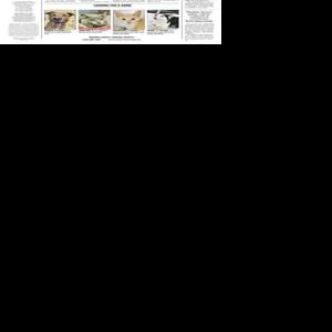 Page A2 | Indiana Gazette | indianagazette.com