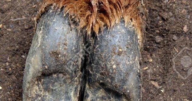 TOM CHARLTON: Are you on the right track? | Opinion | indianola-ia.com