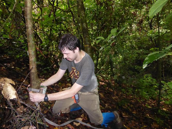 Williams, a research ecologist and 2010 IHS grad, steps into ICSD’s ...