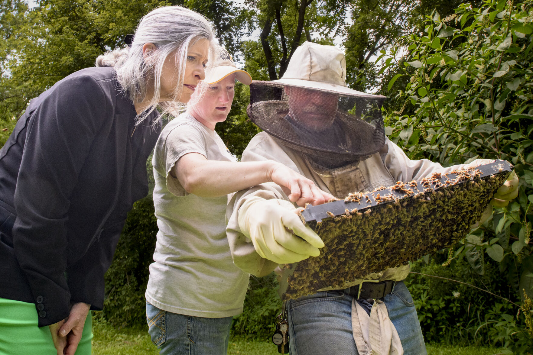 Ernst checks out queen bees at Honey Hollow apiary | News | indianola ...
