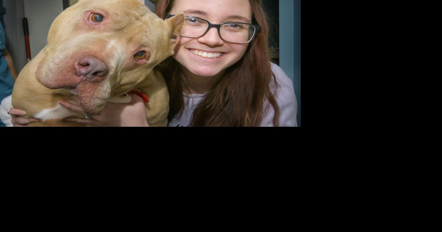 Kiya Koda's longest resident dies after finding her forever home — there | News | indianola-ia.com