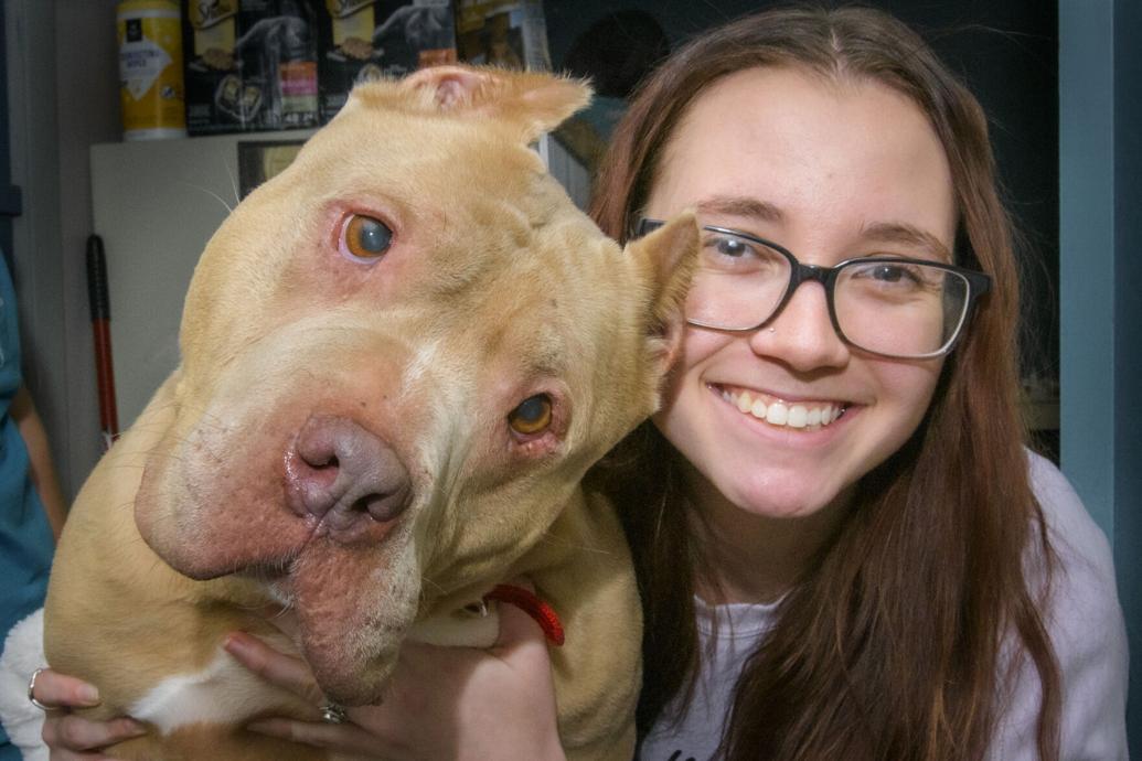 Kiya Koda's longest resident dies after finding her forever home ...