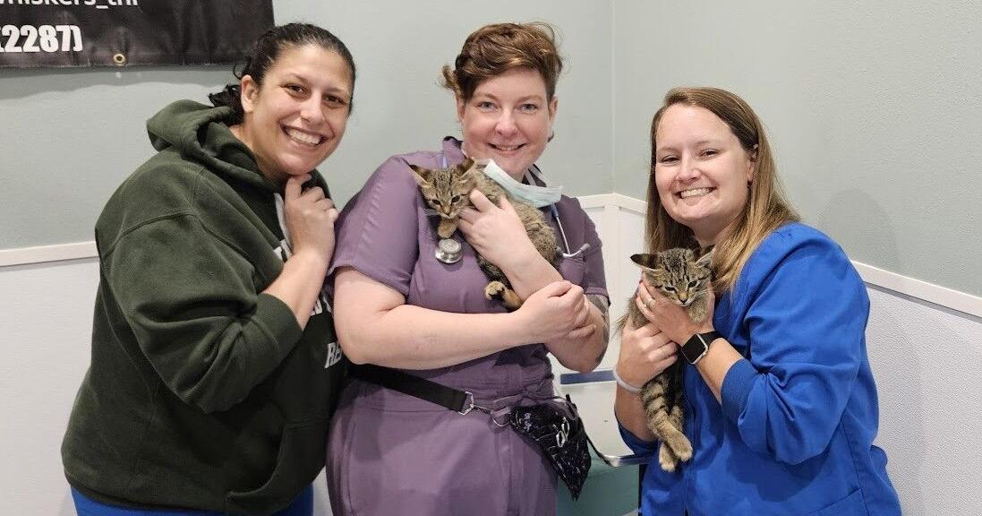 From St. Paul to Prole, Whiskers TNR volunteer of the month goes the ...