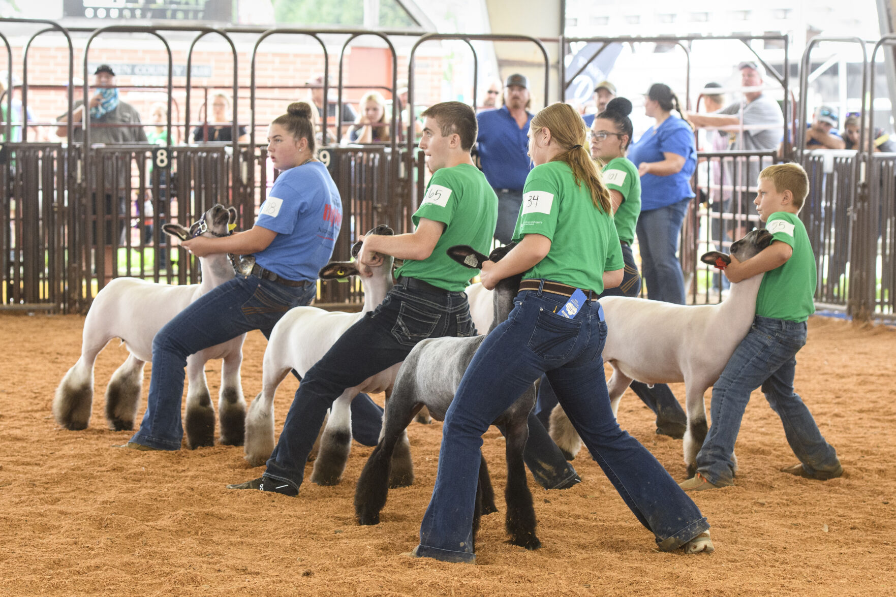 Ryan Harryman wins second grand champion sheep in a row | News ...