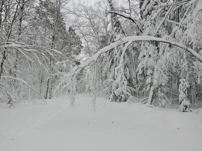 LARRY STONE: Wisconsin lake-effect snow hits different than Ahquabi ...