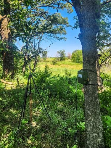 Indianola residents go to bat for statewide bat-monitoring project ...