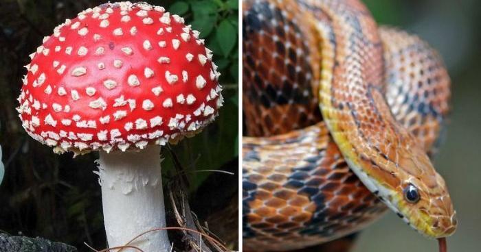 TOM CHARLTON: Not all pairs are the same, see if you know the ...