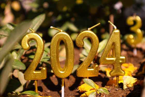 DANIEL P. FINNEY: No resolutions, just guidelines for the upcoming year ...