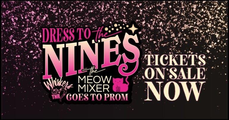 Tickets on sale now to the “Dressed to the Nines” adult prom to benefit ...