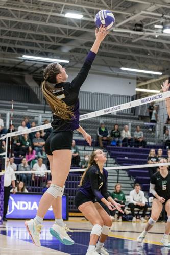 Indianola volleyball wins Little Hawkeye tournament | Sports ...