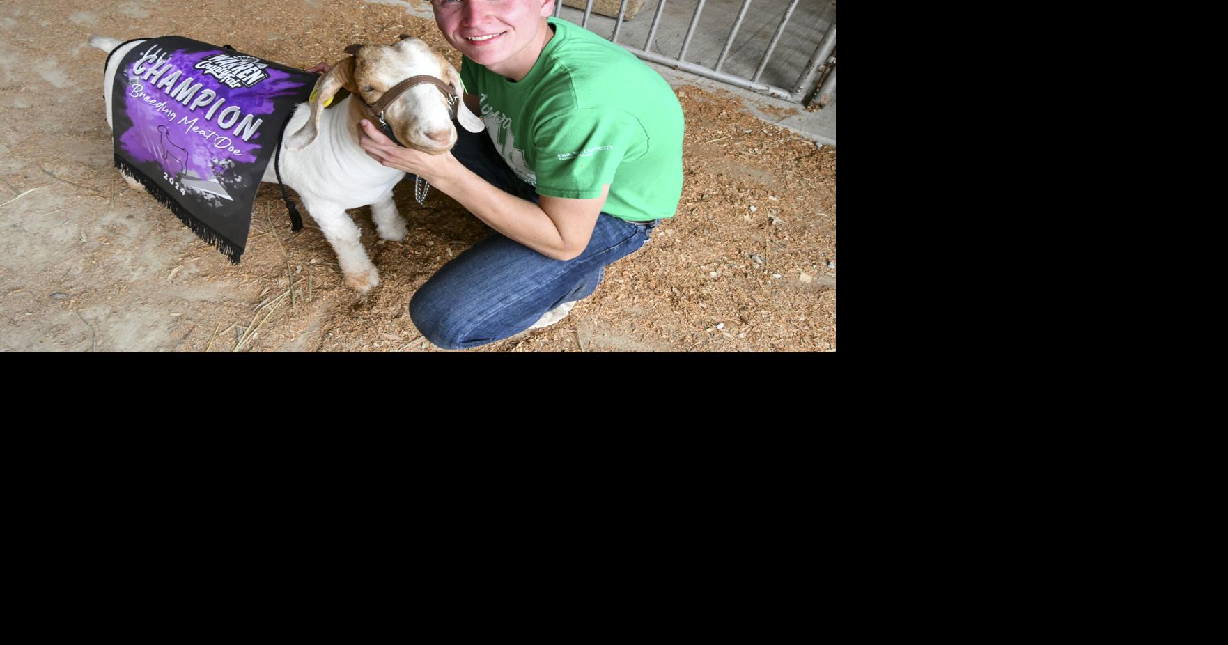 Indianola students sweep champion titles in Warren County Fair goat ...