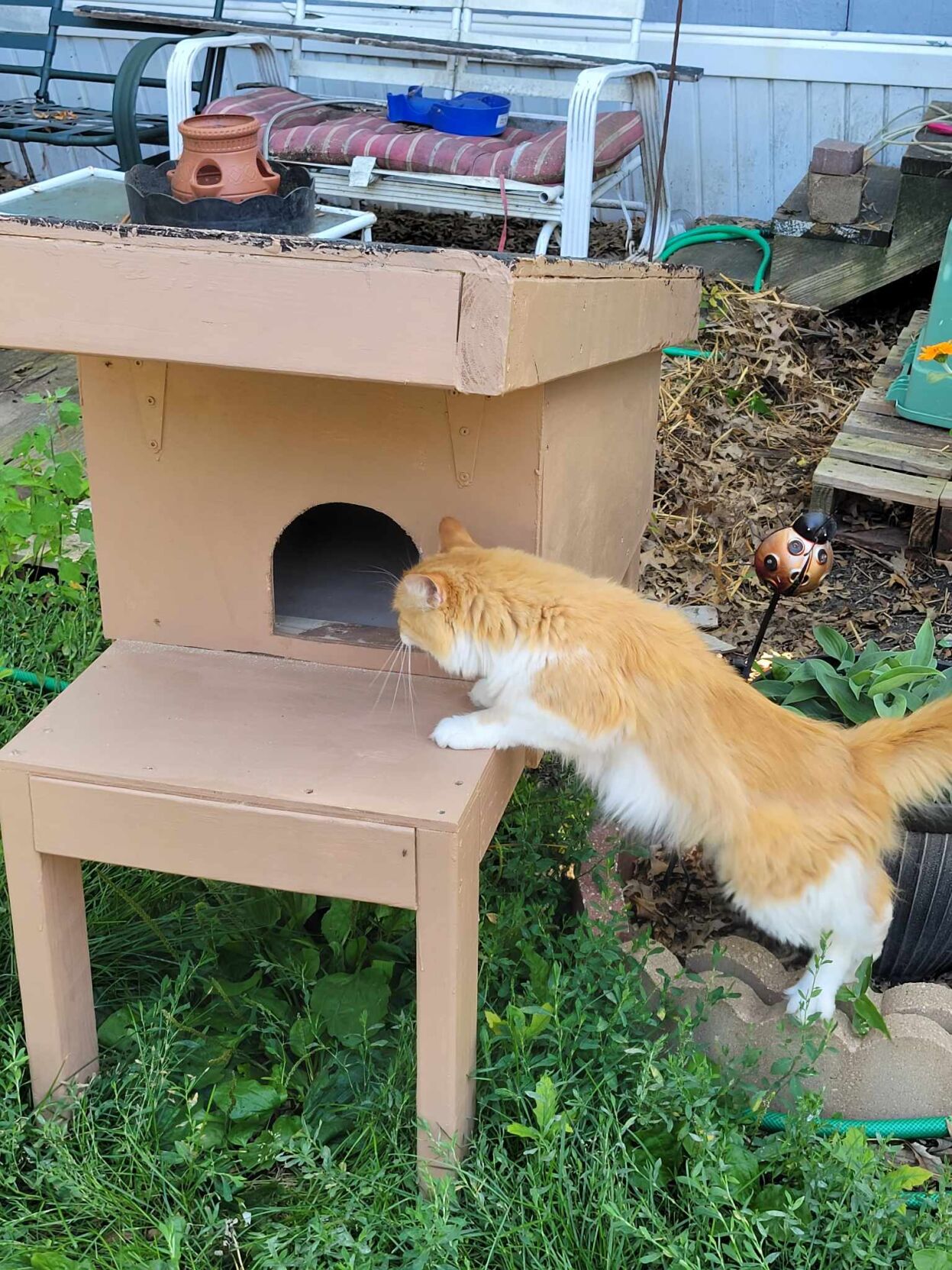 Indianola teen builds cat shelters for Whiskers TNR as part of Eagle ...