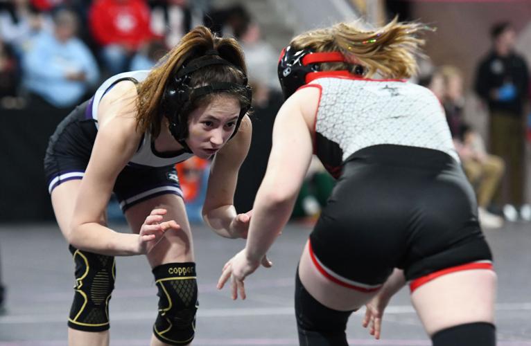 Warren County girls wrestle at State | Multimedia | indianola-ia.com