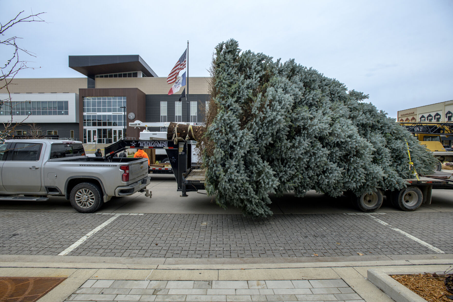 The tree arrives | | indianola-ia.com